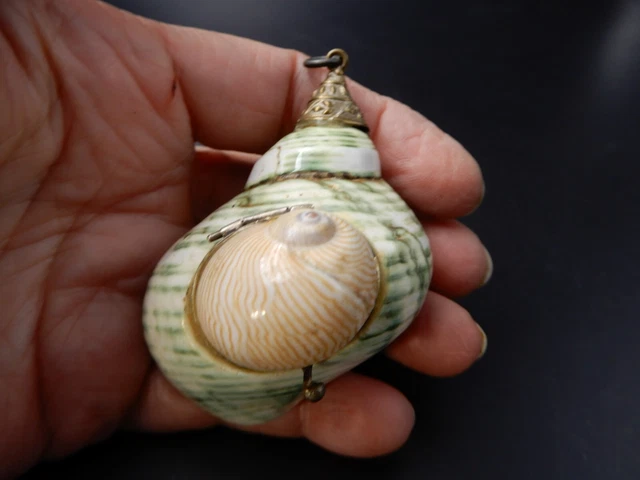 PENDENTIF BOITE EN coquillage nacre bijoux Chapelet Pilule 1970 - 7 cm EUR 30,00 - PicClick FR