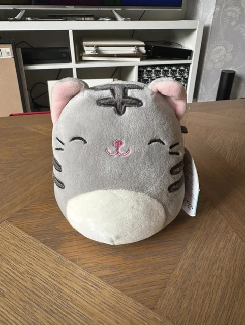 5” TALLY THE Grey Cat Squishmallow Plush Toy Rare Collectible New with ...