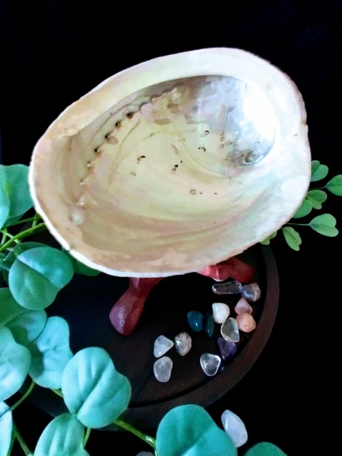 ABALONE SHELL AND Stand. Smudging Tool. Wicca. Witchcraft. Incense ...