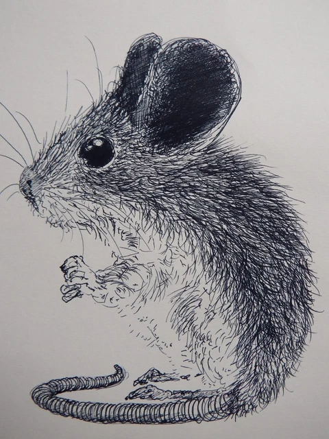 ORIGINAL SMALL BLACK pen & ink line drawing of a mouse £29.99 - PicClick UK