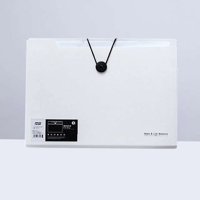 EXPANDABLE FILE FOLDER Organizer Document Orginizing for Documents $29. ...