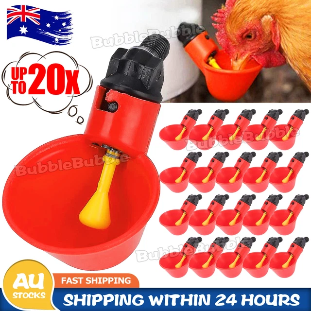 10X/20X AUTOMATIC CUPS Water Feeder Drinker Chicken Waterer Poultry ...