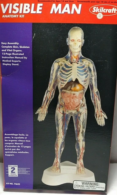 SKILCRAFT VISIBLE MAN Anatomy Kit Human Body Model #74622 2007 Skeleton ...