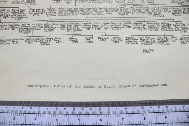 PERCY, DUKES OF Northumberland, Family Tree, Genealogical Table ca ...