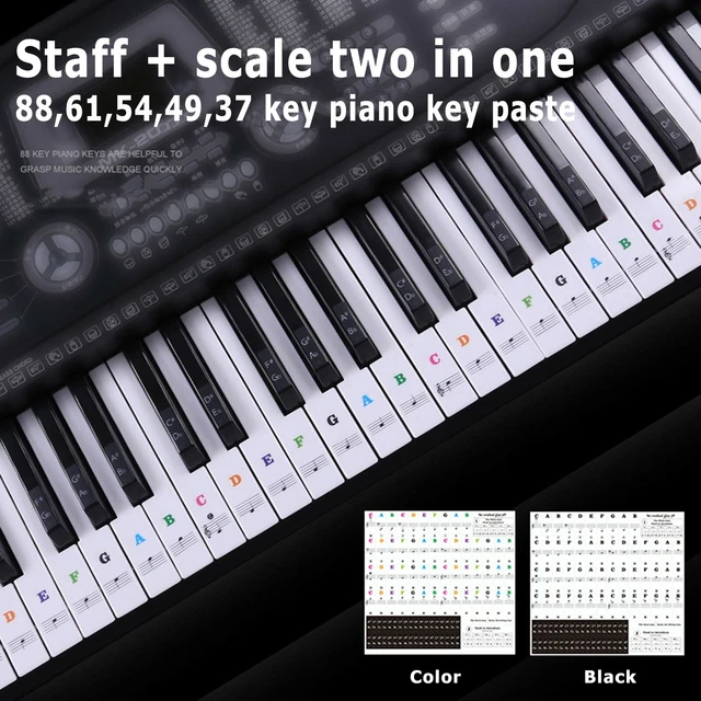 PIANO STICKER KEYBOARD Music Note Chart Removable Decal 49,37,54,61 or ...