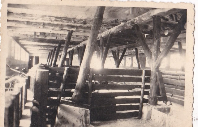 WK 2 FOTO Deutsches-Reich Bauernhof Stallung Reg.-Nr.-F III / 17 / 3 ...