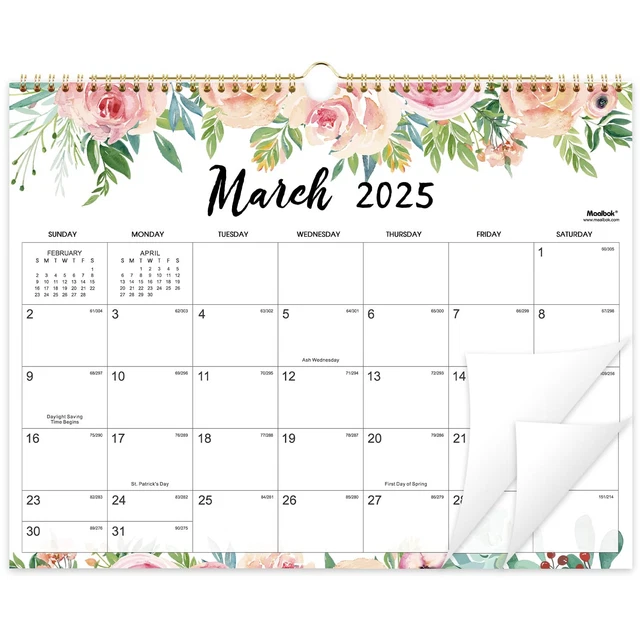 2025-2026 CALENDAR - JUL 2025 - DEC 2026, 14.6'' x 11.4'', Wall ...