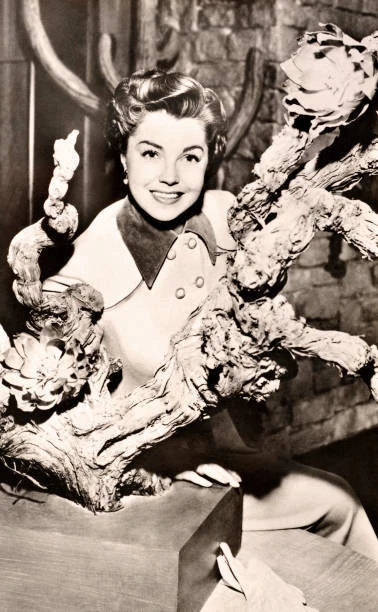 MOVIES ESTHER WILLIAMS American swimmer and actress circa 1955 OLD ...