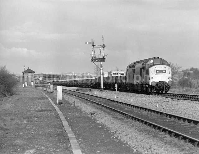 HONEYBOURNE CLASS 37 37188 29.3.82 John Vaughan Negative RN275 £6.05 ...
