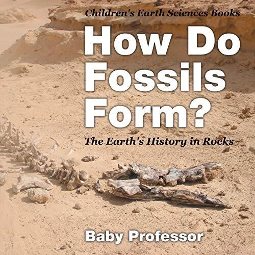 HOW DO FOSSILS Form? The Earth's History in Rocks | Children's Earth ...