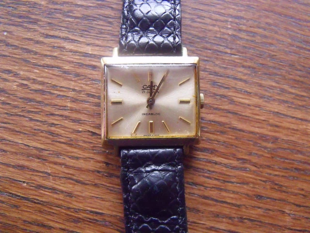 VINTAGE CAMY WATCH 17 Jewels Incabloc £15.00 - PicClick UK