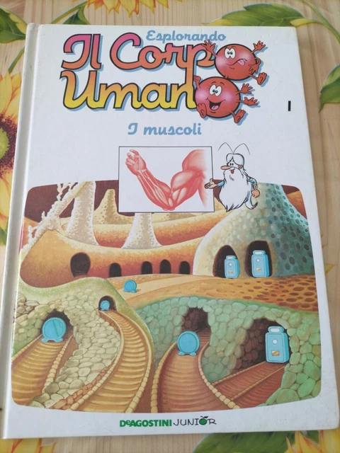 ESPLORANDO IL CORPO umano - I Muscoli 1 - Ed. DeAgostini Junior 1991 EUR 3,90 - PicClick IT