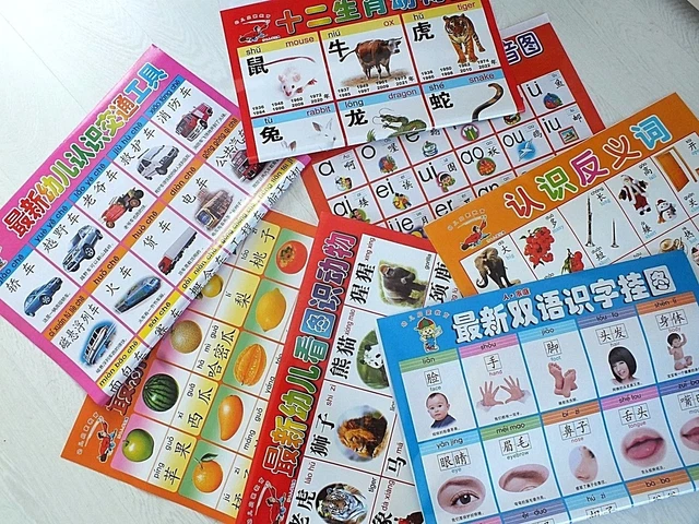 7 SELF LEARN Chinese Language Phonic Letter Wall Chart Poster English ...