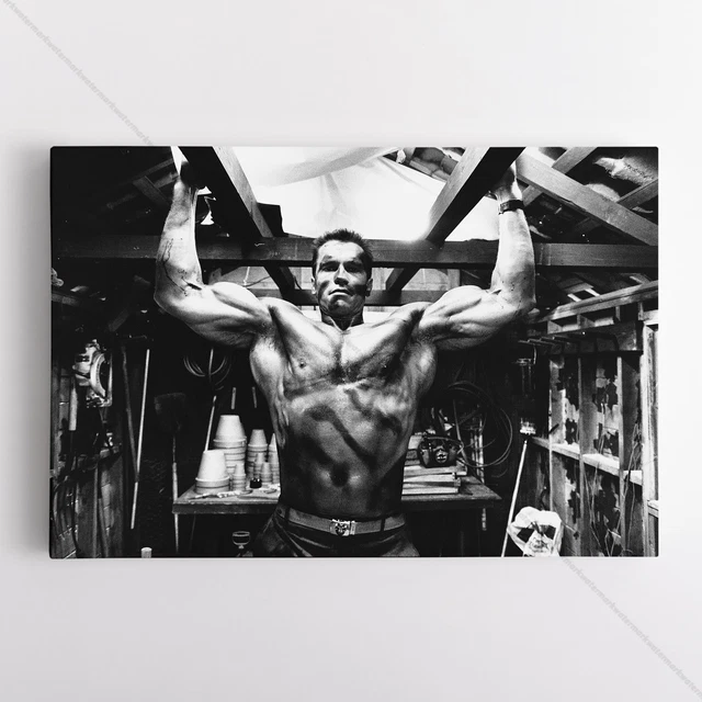 CINEMA POSTER: COMMANDO 1985 (Quad) Arnold Schwarzenegger Dan Hedaya £ ...