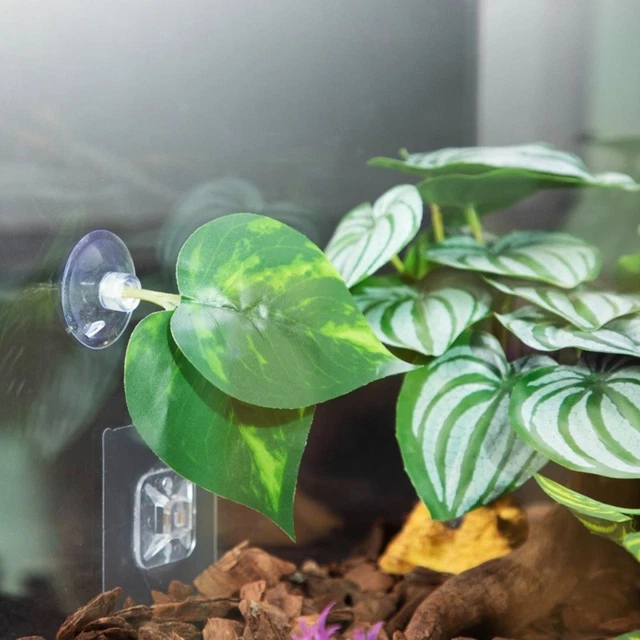 BETTA DOUBLE LEAF Hammock Fish Shrimp Leaf Bed Resting Leaf Pad ...