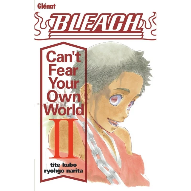 BLEACH ROMAN - Can't Fear Your Own World - Tome 02 EUR 9,60 - PicClick FR