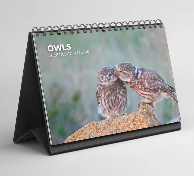 OWL DESK CALENDAR 2026-2027: Standing Flip Desktop Calendar £14.99 ...