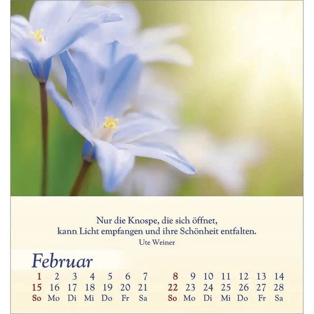 LICHT FÜR DEINE Seele 2026 | Kalender | Spiralbindung | 14 S. | Deutsch ...