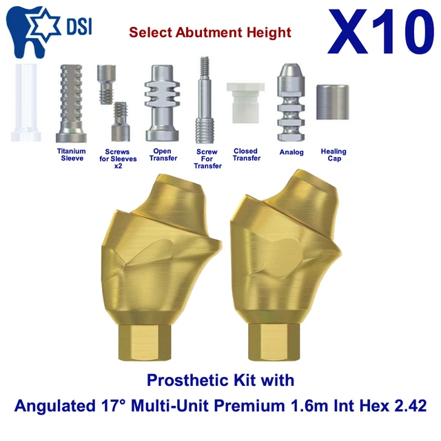 10X PROSTHETIC KIT DSI Angulated Abutment 17° Multi-Unit 1.6m Int Hex 2 ...