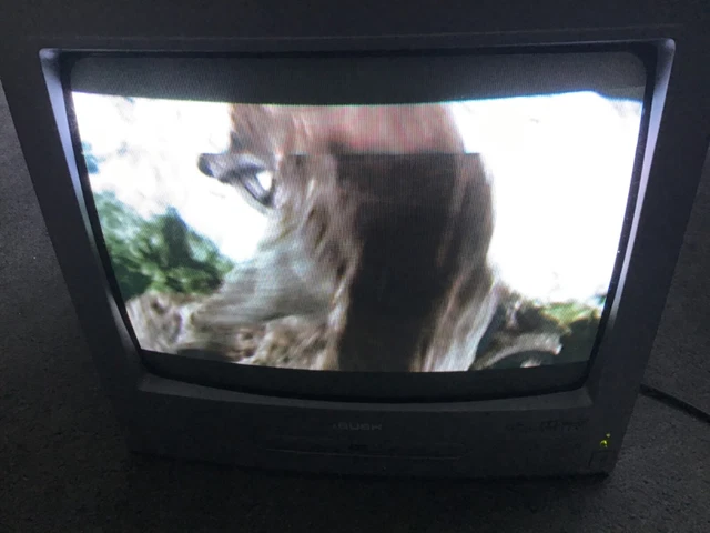 VINTAGE RETRO BUSH 14 inch CRT TV DVD Combi working, & Remote Control ...