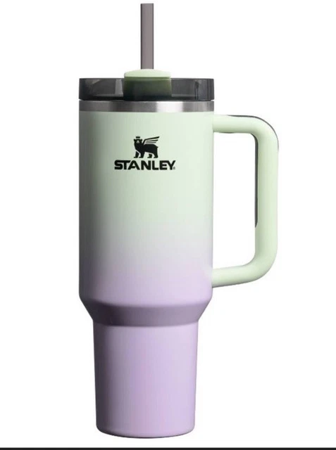 STANLEY X TARGET HYPNOTIC GREEN Halloween 2025 40 oz Quencher Tumbler ...