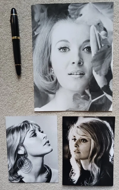 SHARON TATE -3 Origi. Photos- Studio Portraits EUR 14,99 - PicClick DE