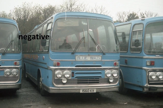35MM BUS Negative Wessex Of Bristol Volvo Plaxton 6138 K65Oht Neg N0 ...