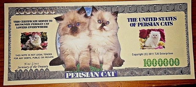 CATS & KITTENS Novelty Bank Note Funny Xmas Stocking Filler Gift Lucky ...