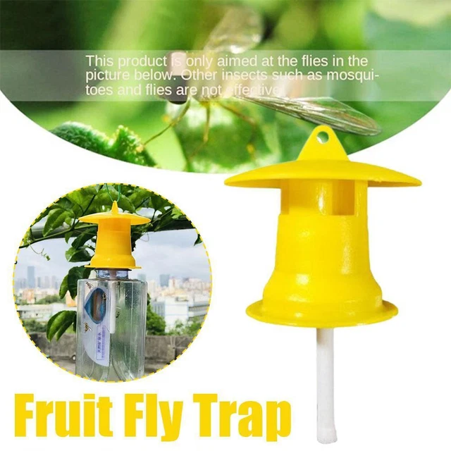 REUSABLE FRUIT FLY Trap Killer Yellow Cage Drosophila Tool Trap UK ...
