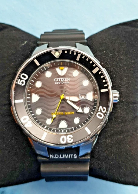 RARE CITIZEN E168-S061903 Promaster Eco Drive Solar Men’s, WR300m, 44m ...
