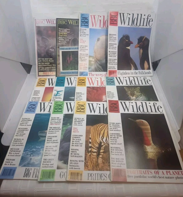 VINTAGE BBC WILDLIFE Magazines 1989 x12 Complete Year £54.99 - PicClick UK