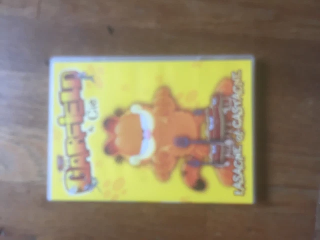 DVD DESSIN ANIME garfield & cie lasagne et castagne EUR 3,50 - PicClick DE