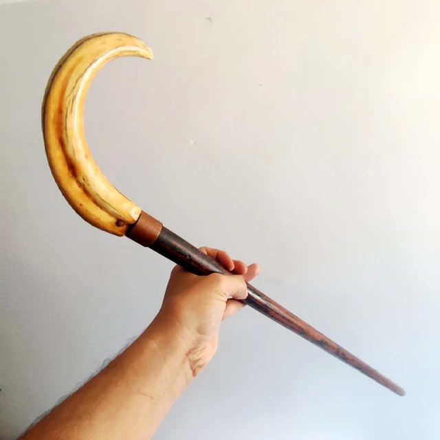 ANCIENNE CANNE MANCHE En Dent De Phacochère EUR 130,00 - PicClick FR