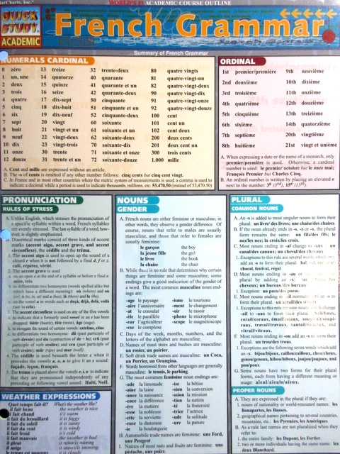 FRENCH GRAMMAR QUICK Study Guide Bar Charts Laminated 3 Hole Punched $9 ...