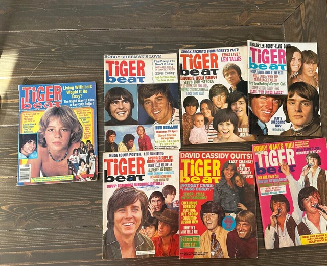 1960-70S VINTAGE TIGER Beat Magazines Lot of 7-David Cassidy Quits ...