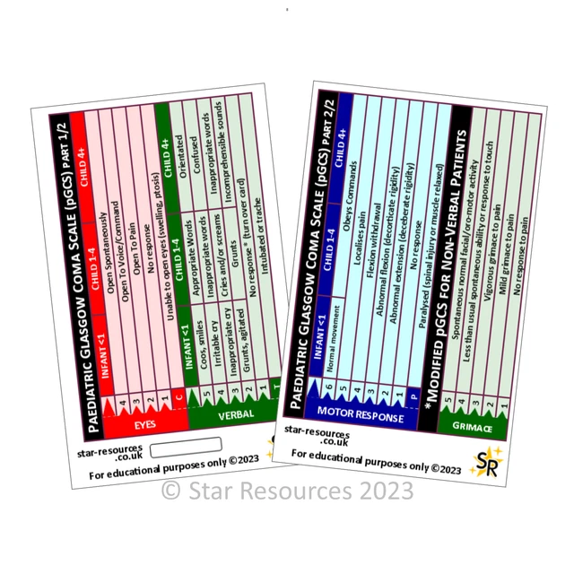 PAEDIATRIC GCS HANDOVER Tool ID Badge Flash Card Student Paramedics ...