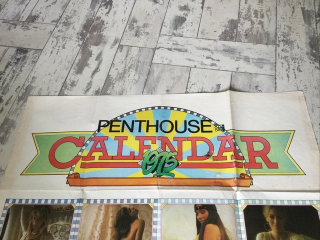 RARE 1975 VINTAGE Penthouse Fold Out Wall Calendar And Poster £20.00 ...
