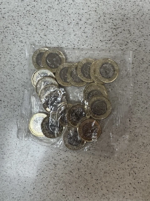 2025 KING CHARLES III Bee One Pound Coin rare low mintage Sealed Bag Of ...