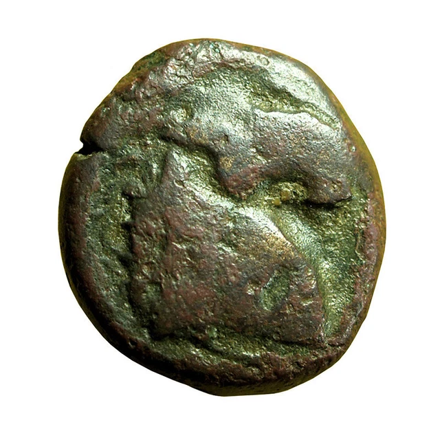 ANCIENT GREEK COIN Carthage Zeugitania AE15mm Tanit / Horse Head 04009 ...