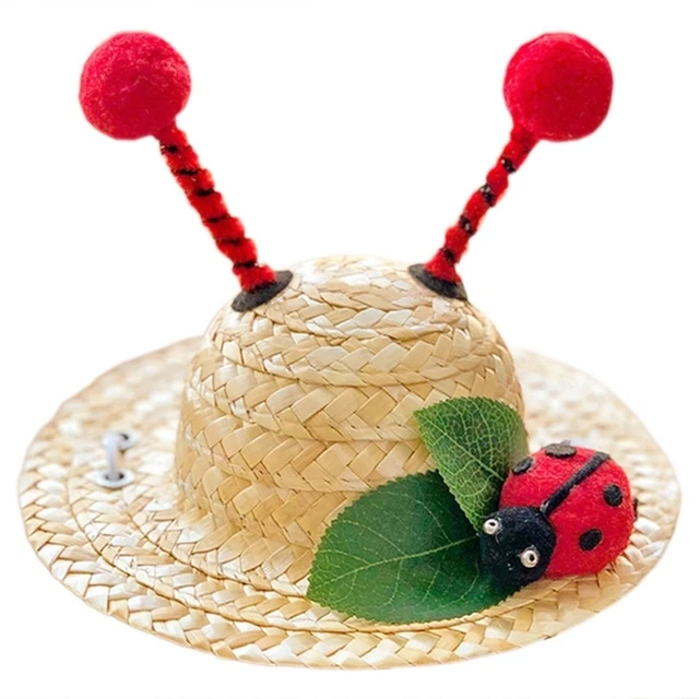 HONEYBEES LADYBUGS PATTERN Hat Travel Pet Hat Dog Walking Hat Vacation ...