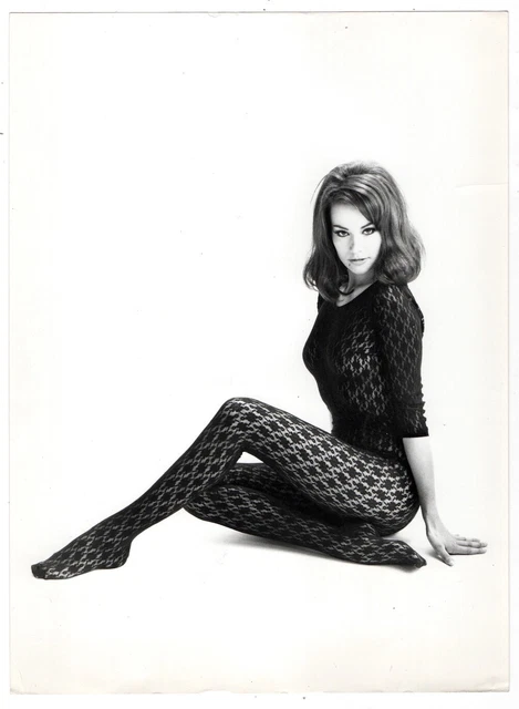 Photo Ann Margret Original 1970 Sexy Woman Pin Up En Résille Actrice Cinéma Eur 9500 Picclick Fr
