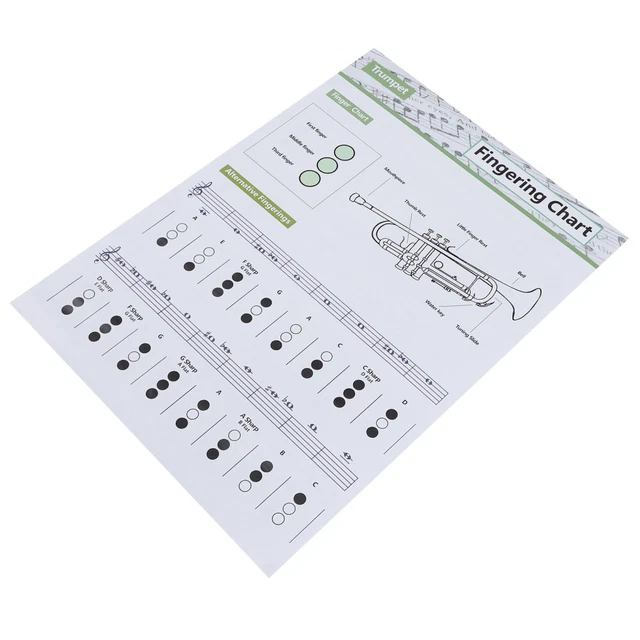 SAX BEGINNER GUIDE Trumpet Chord Chart Poster Child Student £8.58 ...