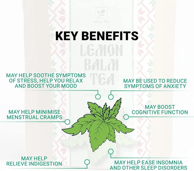 LEMON BALM TEA by Amelia Rose | Melissa Officinalis |50 Tea Bags | 100% ...