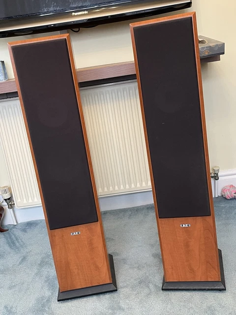 ACOUSTIC ENERGY (AE) Floor Standing Speakers. Aegis Evo A31100130. 120 ...