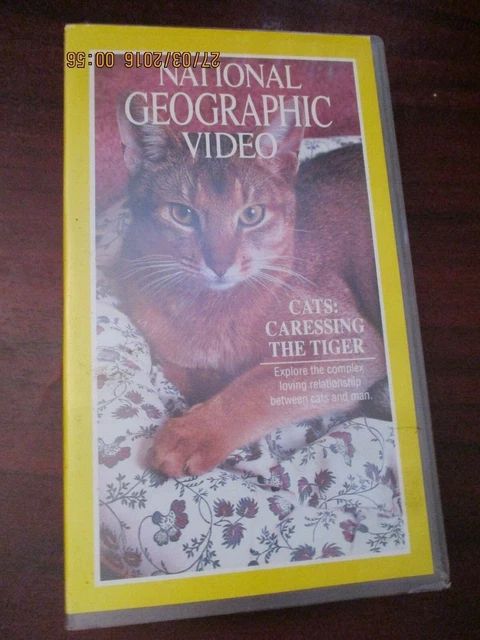 NATIONAL GEOGRAPHIC CATS Caressing the Tiger VHS Video Tape (NEW) EUR 9 ...