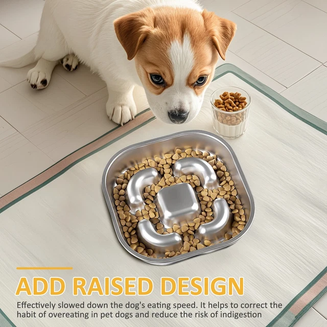 SQUARE SHAPE DOG Food Bowl Stainless Steel Slow Feeder Dog Bowl With ...