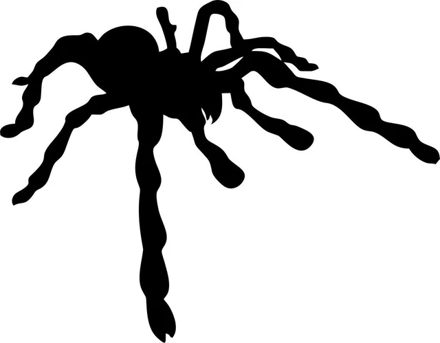 HUNTSMAN SPIDER SILHOUETTE Vinyl Decal 150mm $9.99 - PicClick AU