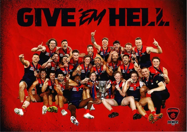 MELBOURNE DEMONS TEAM Poster,Afl Football Pies, Cats Tigers Premiers 8 ...