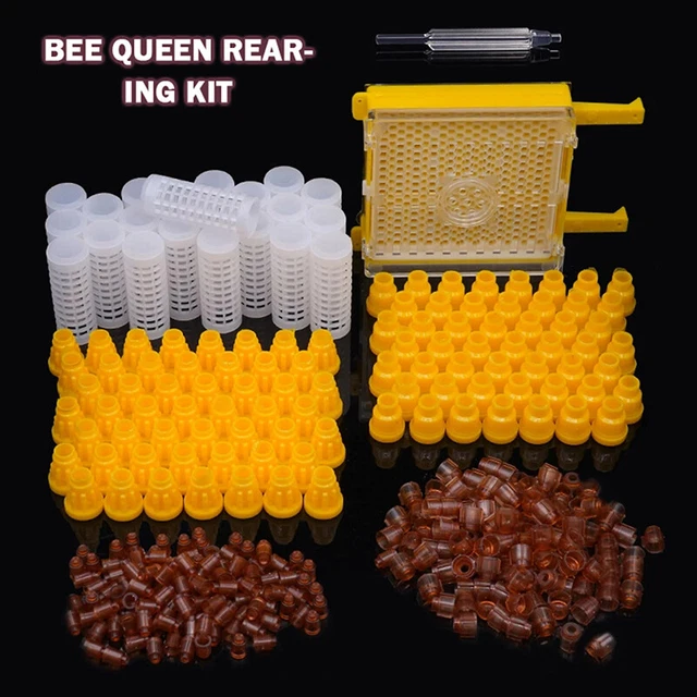 REARING SYSTEM KIT Queen Bee Larva Move Cage Goods Tool For Beekeeper ...