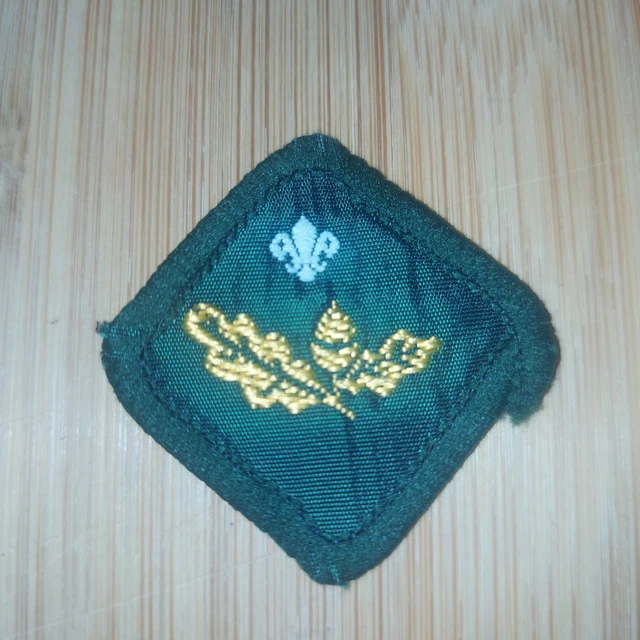 UK SCOUTING 1980'S Scout Proficiency Badge Naturalist £1.76 - PicClick UK